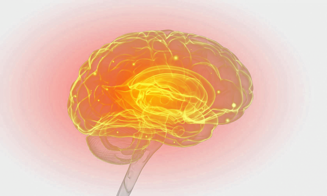 Brain cells in the amygdala: Treatment for PTSD? – TBI Therapy